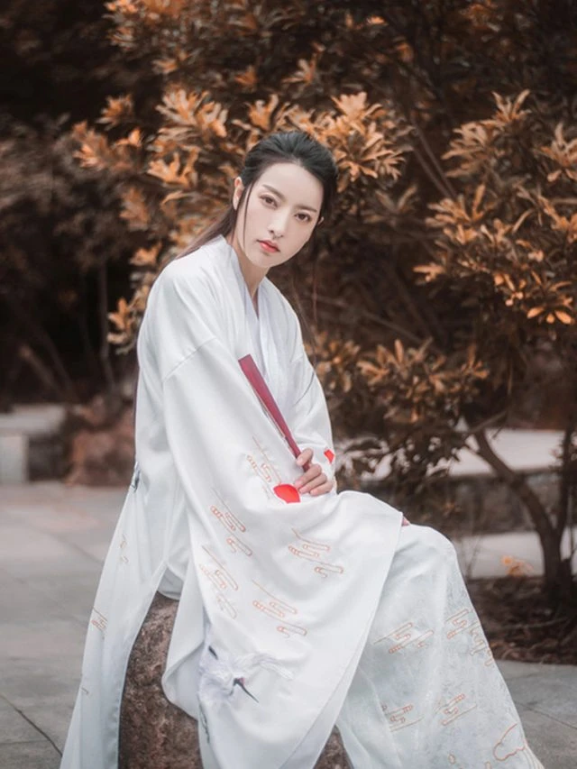White Crane Hanfu Dress - Newhanfu