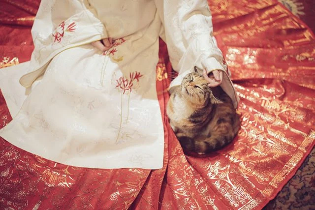 Luoli Flower White, Red Aoqun Hanfu - Newhanfu 2026