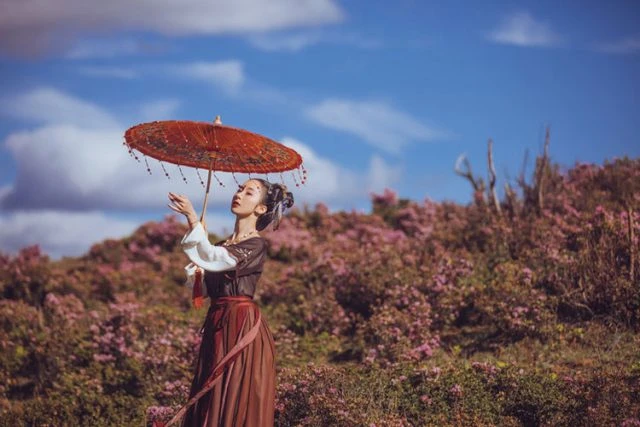 Red Lotus Hanfu Dress - Newhanfu