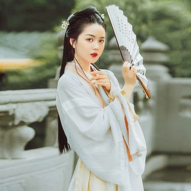 Vine Ruqun Classic Jin Dynasty Hanfu Dress - Newhanfu 2025