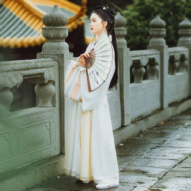 Vine Ruqun Classic Jin Dynasty Hanfu Dress - Newhanfu 2025