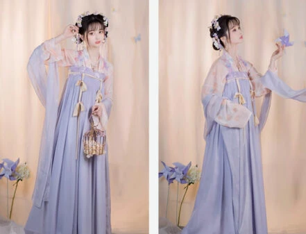 Spring Tang Dynasty Girl Heziqun Dress Cute Qixiong Hanfu - Newhanfu