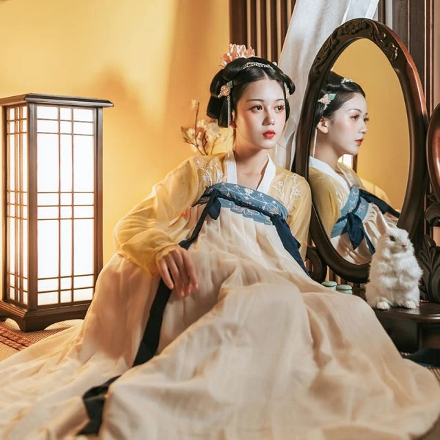 10+ Luxury Silk Hanfu Dresses in New Season - Newhanfu 2025