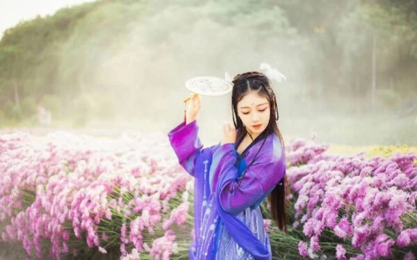 Hanfu – A Formal Chinese Dress - Newhanfu