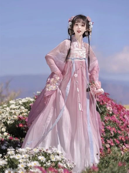 Ladies Qixiong Shanqun North and South Dynasty Hanfu Style Embroidered ...