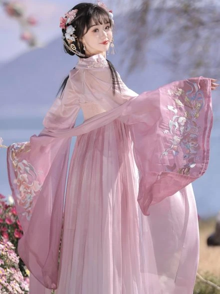 Ladies Qixiong Shanqun North and South Dynasty Hanfu Style Embroidered ...