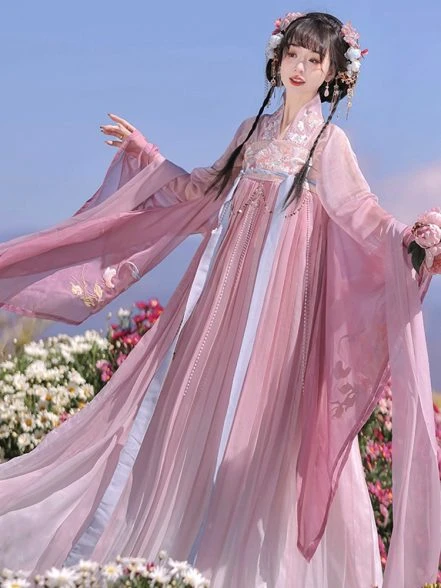 Ladies Qixiong Shanqun North and South Dynasty Hanfu Style Embroidered ...