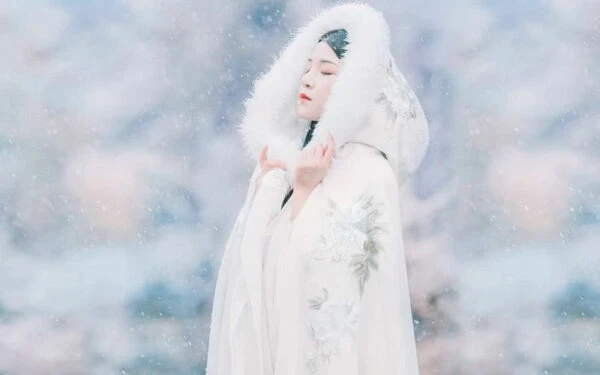 Best 8 Hanfu Types You Need to Know - Newhanfu