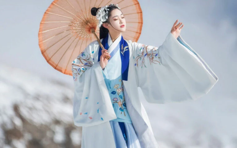Best 8 Hanfu Types You Need to Know - Newhanfu