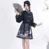Short Hanfu Dresses, Mini Chinese Skirts for Sale - Newhanfu